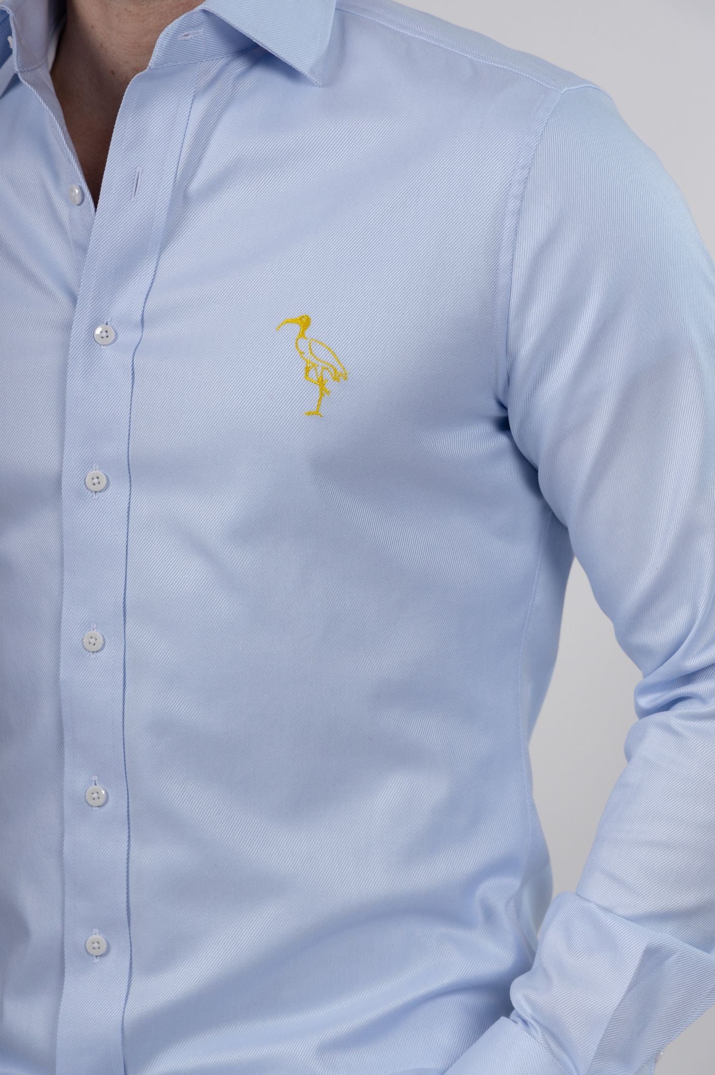 Lampoon – JAC Designs